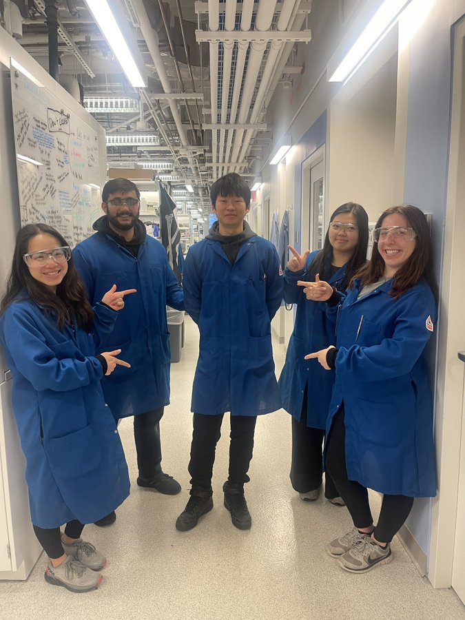 Gallery – The Biegasiewicz Group